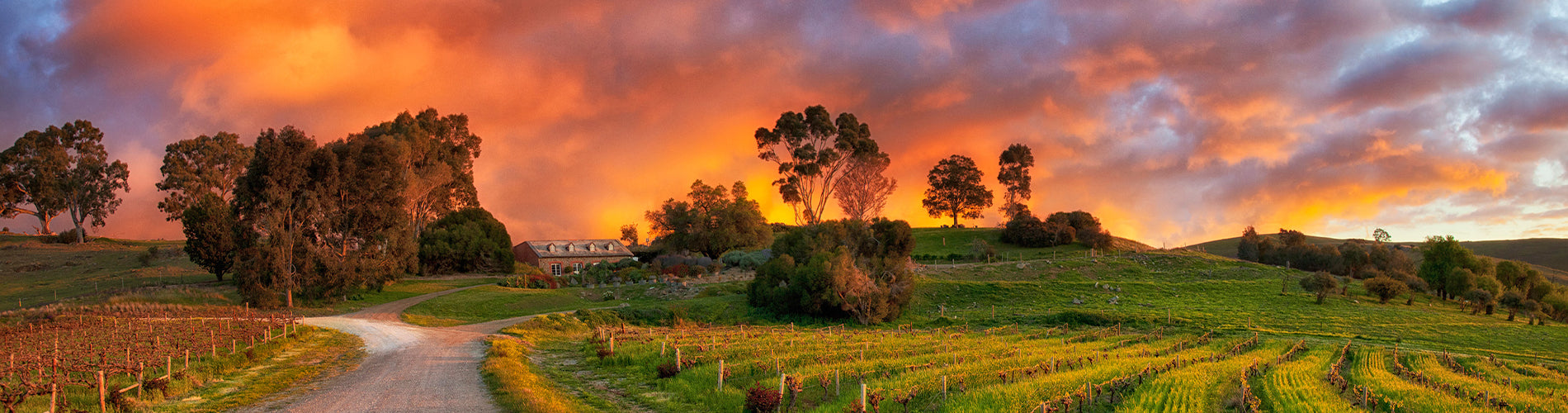 Bethany Wines – O'Briens Wine