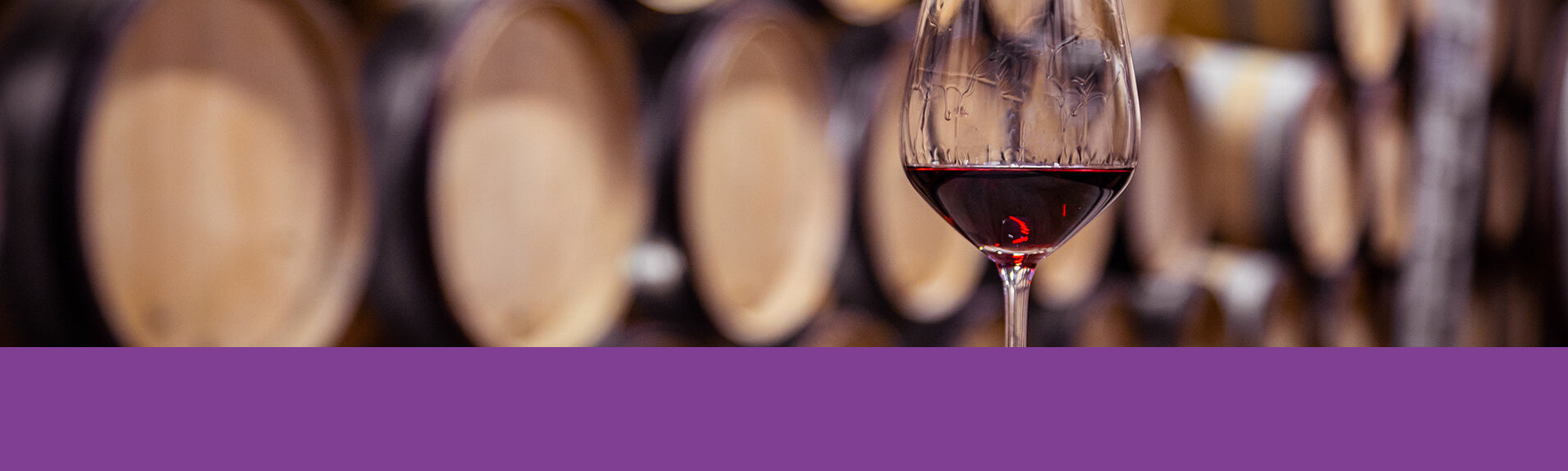 Rich Robust Red – O'Briens Wine