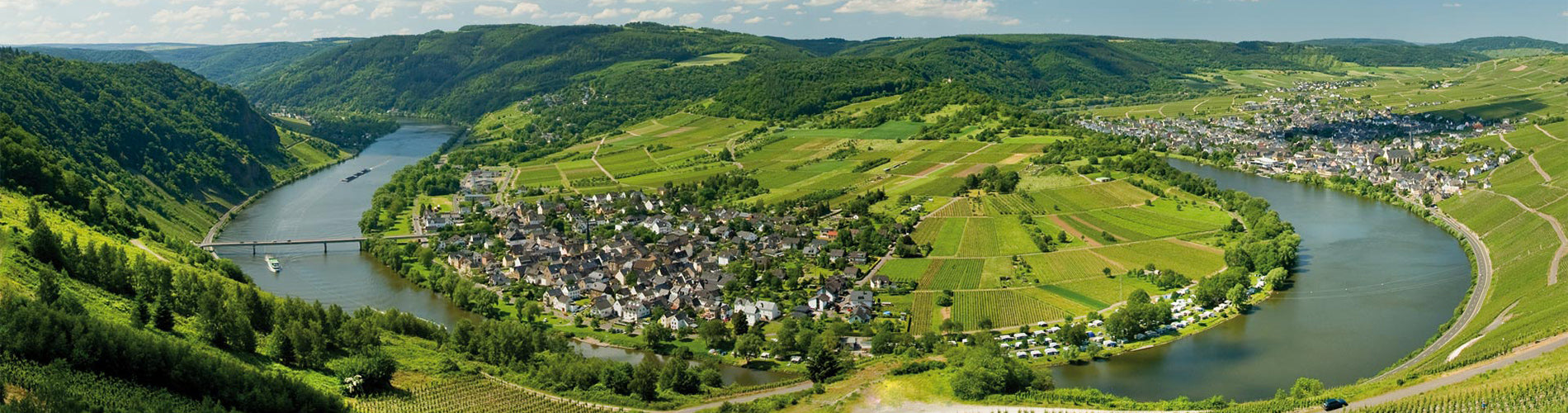 Weingut Selbach-Oster – O'Briens Wine