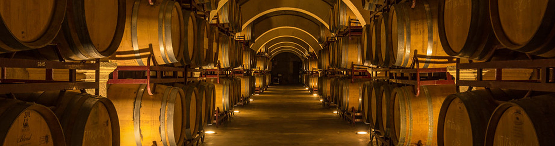 Bodegas Luzón Wines – O'Briens Wine