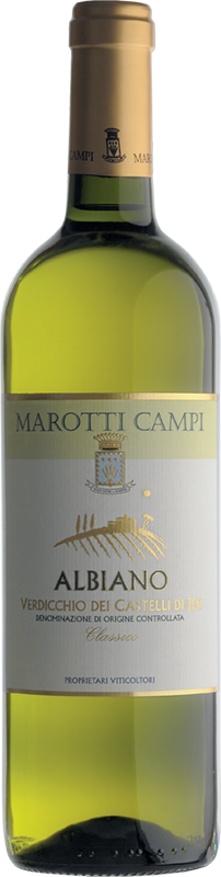Marotti Campi Albiano Verdicchio dei Castelli – O'Briens Wine