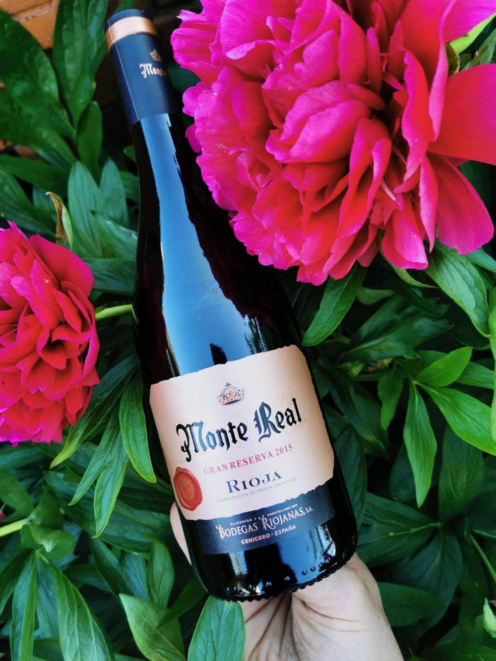 Monte Real Rioja Gran Reserva – O'Briens Wine