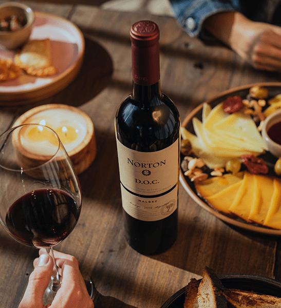 Norton Lujan De Cuyo Malbec DOC – O'Briens Wine